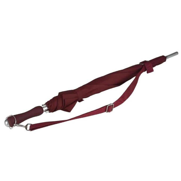 Ladies Walking Umbrellas Over 1000 Designs!